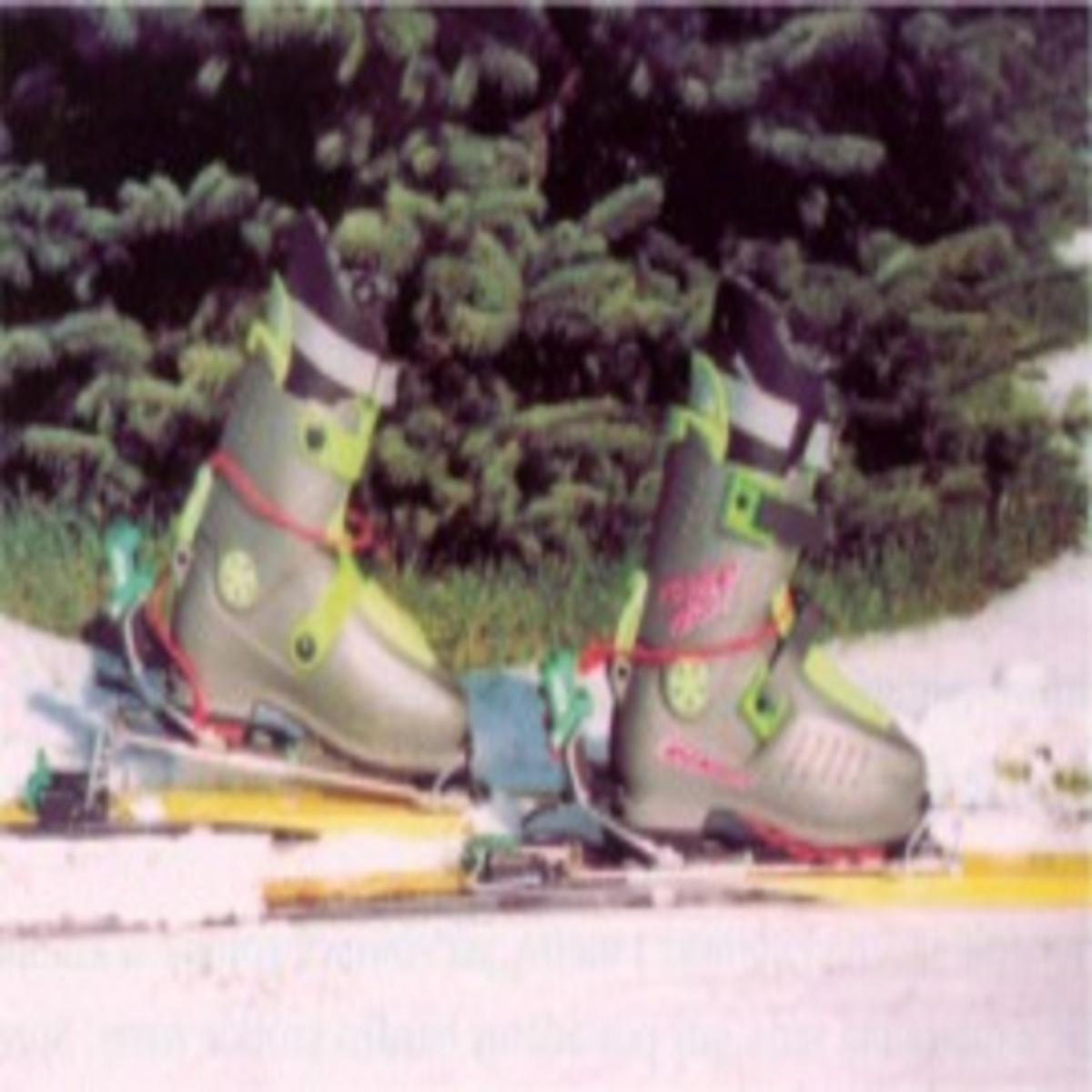 Sprzęt do ski alpinizmu - Narty.pl